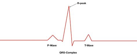 Fourier Vs Wavelet Transformations Built In