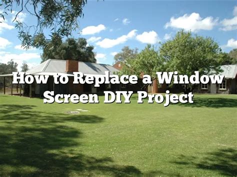 How To Replace A Window Screen Diy Project The Homestead Survival