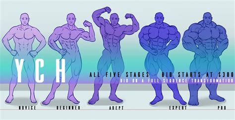 Muscle Morph Transformation