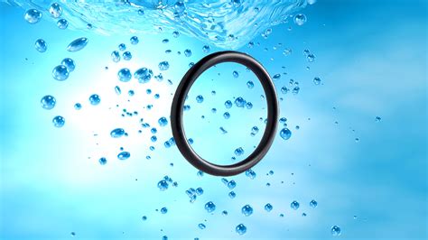 Elastomer Selection O Ring