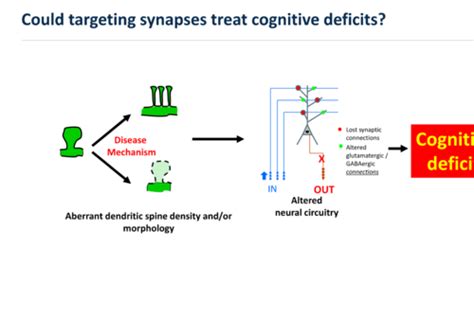 Lecture 16 Treating Memory Impairments Flashcards Quizlet Lecture 16 Treating Memory Impairments Flashcards Quizlet