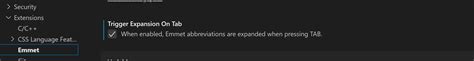 Visual Studio Code And Emmet Important CSS Modifier Stack Overflow