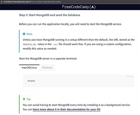 Errors When Running `mongod` In Local Setup · Issue 45784 · Freecodecampfreecodecamp · Github