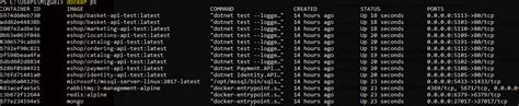 Containerized Rabbitmq Integration Test Setup Issue Dotnet Architecture