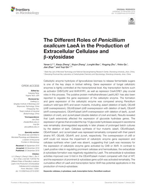 Pdf The Different Roles Of Penicillium Oxalicum Laea In The