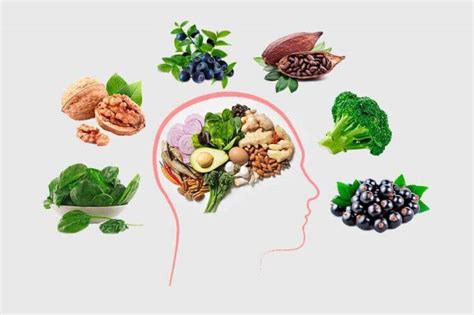Врач назвала продукты, полезные и вредные для мозга и памяти: часть 1 ...