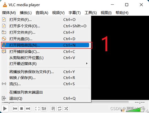 【docker nginx rtmp obs vlc】实现简易直播 docker fm广播代理直播源 csdn博客
