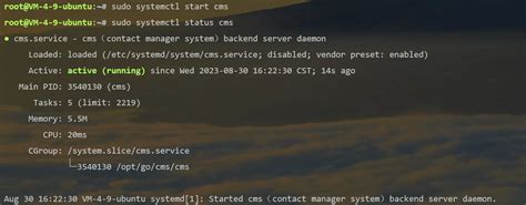 ubuntu 部署 gin vue 前后端分离项目 惜寞的无人小间