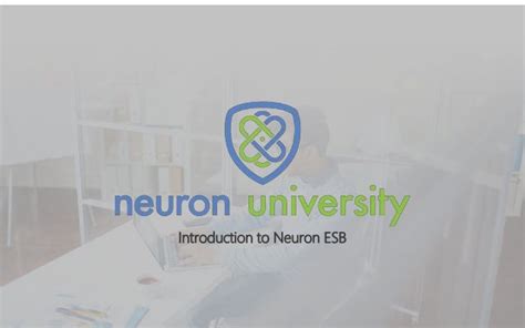 Introduction To Neuron Esb