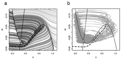 A Phase Plane Of The Fitzhugh Nagumo Neuron Model With Trajectories