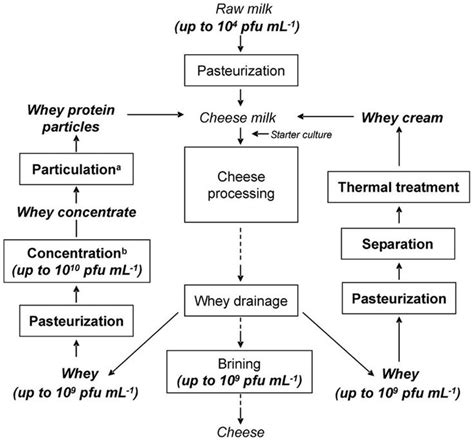 Cheese Making Process How To Make Cheese Flow Chart