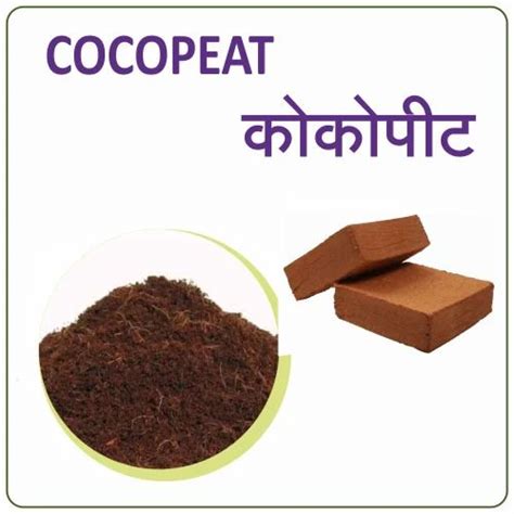 Coco Peat Brick Packaging Type Box Packing At ₹ 20 Kilogram In Anand