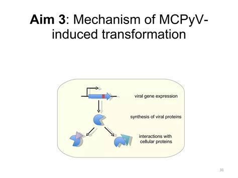 Mcpyv Presentation Ppt