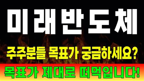 주식 미래반도체 미래반도체주가미래반도체주가전망미래반도체분석미래반도체목표가미래반도체대응전략 Youtube