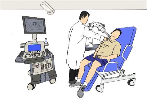 multi modal interaction control of ultrasound scanning robots with safe