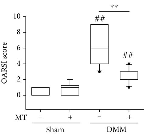 Intra Articular Injection Of Melatonin Prevented The Progression Of