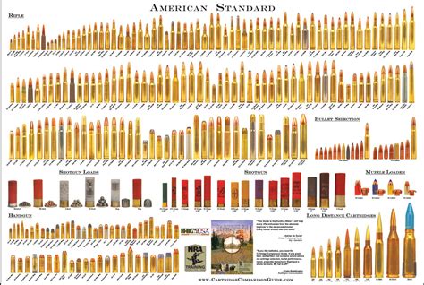 Rifle Bullet Chart Size Rifle Bullet Size Chart Comparison