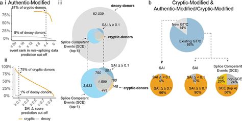 Ranking Unannotated Splice Junctions Detected In Aggregate Rna Seq Data