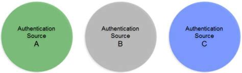 Identity Data Analysis Radiant Logic Documentation