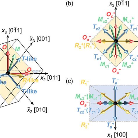 Domain Morphologies Of The T A R Phase In 110 Oriented Pto Thin Download Scientific Diagram