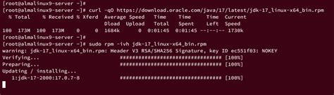 How To Install Java Openjdkoraclejdk On Almalinux 9