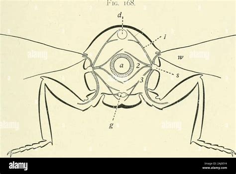 Entomology With Special Reference To Its Biological And Economic