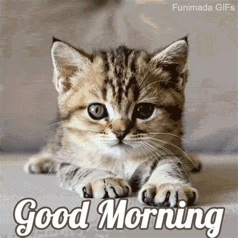 Good Morning S To Start Your Day Right