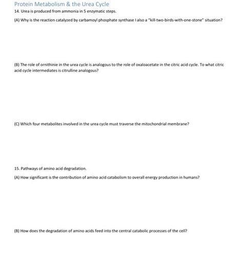 Solved Protein Metabolism And The Urea Cycle 14 Urea Is