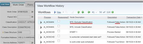 maximizing efficiency troubleshooting maximo issues
