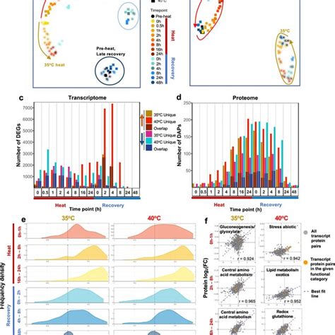 Transcriptomics And Proteomics Revealed Distinct And Dynamic Responses