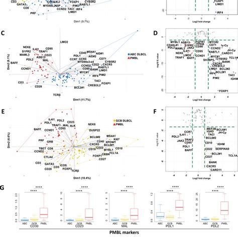 Snp Calling Analysis Pipeline On Rna Seq Data This Workflow Was