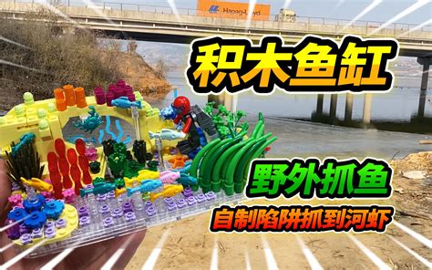 积木竟然能拼成鱼缸，野外探险自制抓鱼陷阱，意外抓到野生虾群 爱玩具的大成 爱玩具的大成 哔哩哔哩视频