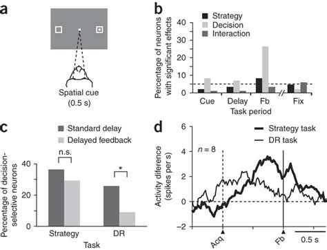 Activity In The Delayed Response Task A Example Of A Visuospatial Download Scientific