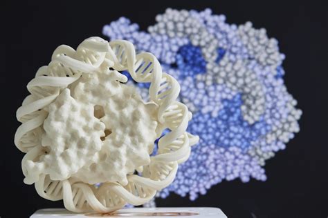 Pathogen Identification Next Generation Sequencing Optimizes