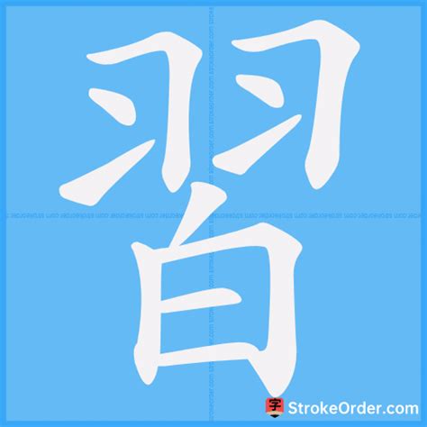 習 Stroke Order