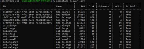 How To Install Openstackclient For Linux — Destination Earth Data Lake