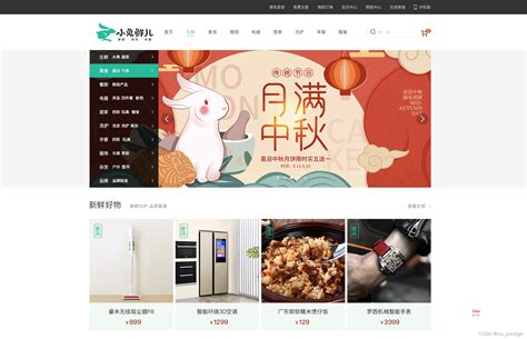 Web网页项目实战 小兔鲜儿项目 Csdn博客
