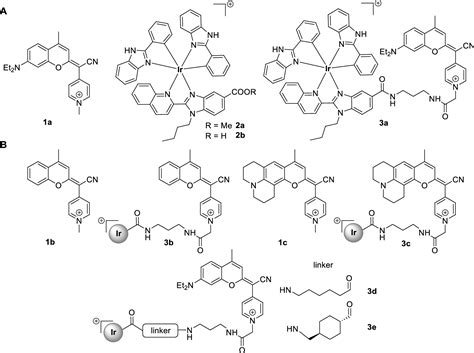 Exploring Structureactivity Relationships In Photodynamic Therapy Anticancer Agents Based On Ir
