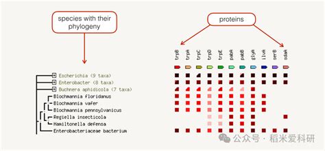 String数据库 蛋白相互作用网络分析 知乎