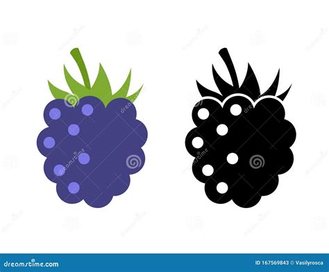 Raspberry Vector Illustration 83584072