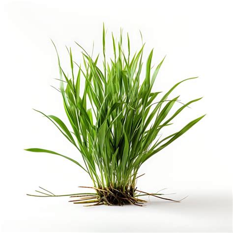 Premium Ai Image Trailblazer Switchgrass Grassy Green A Mini Bouquet