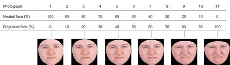 Table 1 From Facial Expression And Sex Recognition In Schizophrenia And