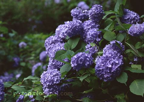 عکسینه عکس های بسیار زیبا از طبیعت ایران