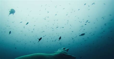 Dive Deeply Into Osgi Using Search Plugin For Apache Felix Wunderman Thompson Technology