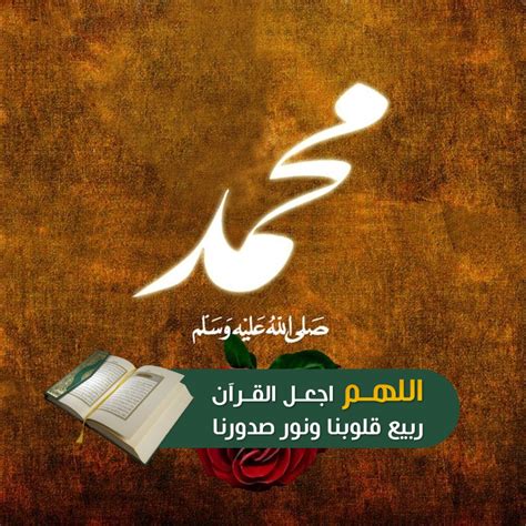 Ahmed Assem Ewais