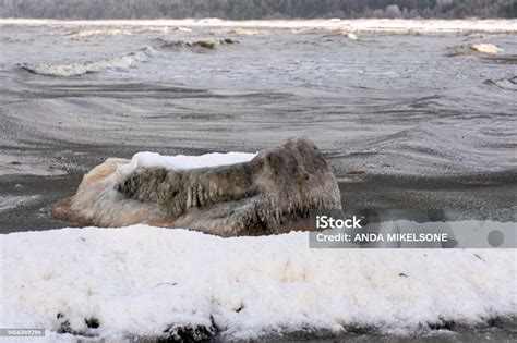 해변의 바위에 있는 다양한 얼음 형성 얼음 질감 바람 물 얼음이 함께 작동 겨울에 대한 스톡 사진 및 기타 이미지 겨울 냉동된 다양 Istock