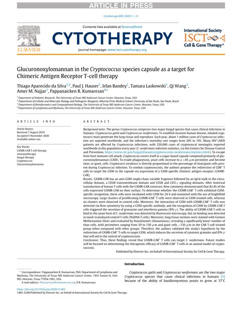 PDF Glucuronoxylomannan In The Cryptococcus Species Capsule As A Target For Chimeric Antigen