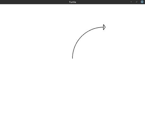 Example Circle Turtle