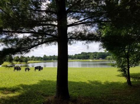 Buffalo Trace Park In Palmyra Indiana Has A Hidden Beach