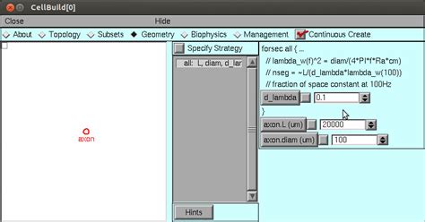 interactive modeling — neuron documentation